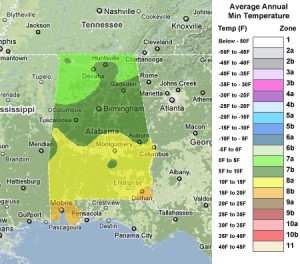 alabama_zones | Florida Palm Trees