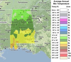 alabama_zones | Florida Palm Trees