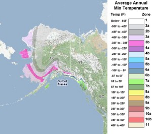 alaska_zones | Florida Palm Trees