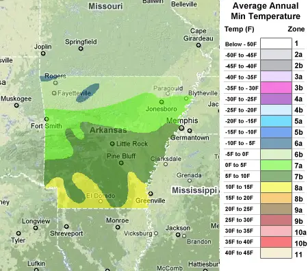 arkansas_zones | Florida Palm Trees