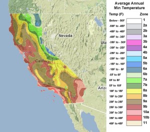 california_zones | Florida Palm Trees