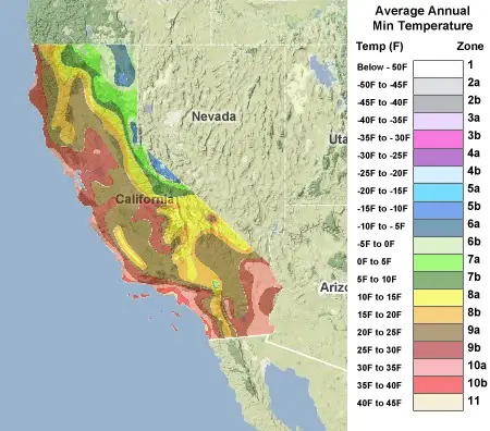 california_zones | Florida Palm Trees