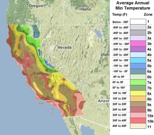 california_zones | Florida Palm Trees