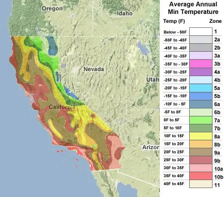 california_zones | Florida Palm Trees