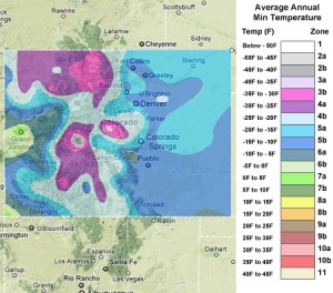 colorado_zones | Florida Palm Trees