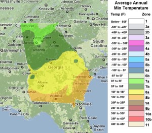 georgia_zones | Florida Palm Trees