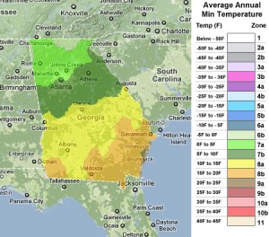 georgia_zones | Florida Palm Trees