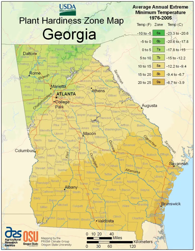gergia-hardiness-zone-map | Florida Palm Trees