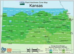 Kansas Palm Trees