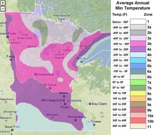 minnesota_zones | Florida Palm Trees