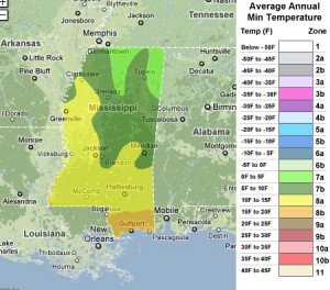 mississippi_zones | Florida Palm Trees