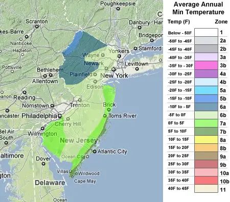 new_jersey_zones | Florida Palm Trees