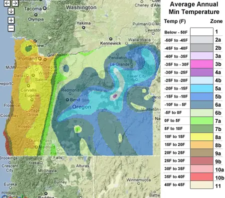 oregon_zones | Florida Palm Trees