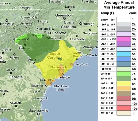south_carolina_zones | Florida Palm Trees