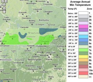 tennessee_zones | Florida Palm Trees