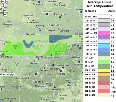tennessee_zones | Florida Palm Trees