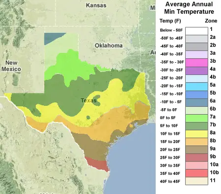 texas_zones | Florida Palm Trees
