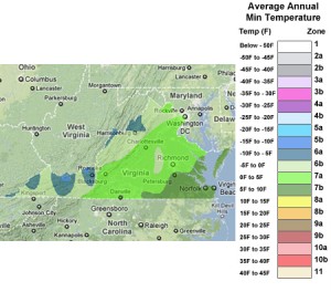 virginia_zones | Florida Palm Trees