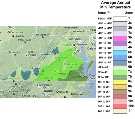 virginia_zones | Florida Palm Trees