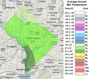 washington_dc_zones | Florida Palm Trees
