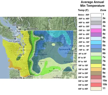 washington_zones | Florida Palm Trees