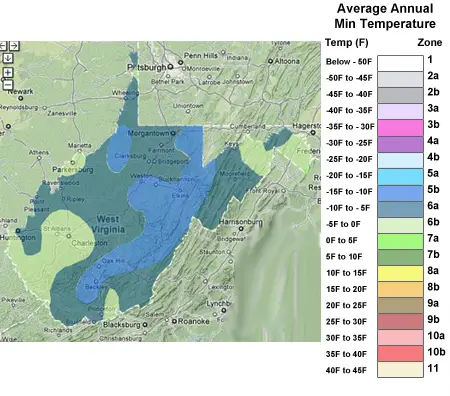 west_virginia_zones | Florida Palm Trees