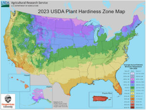 Palm Tree Cold Hardiness Zone Map
