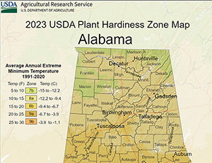 alabama-hardiness-zone-map-300px | Florida Palm Trees