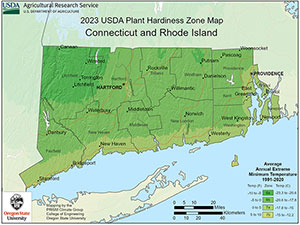 connecticut-hardiness-zone-map-300px | Florida Palm Trees