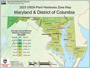 dc-hardiness-zone-map-300px | Florida Palm Trees