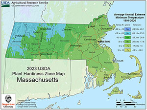 massachusetts-hardiness-zone-map-300px | Florida Palm Trees