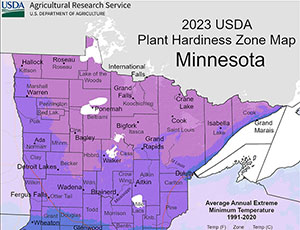 minnesota-hardiness-zone-map-300px | Florida Palm Trees