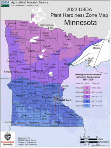 minnesota-hardiness-zone-map-650px | Florida Palm Trees