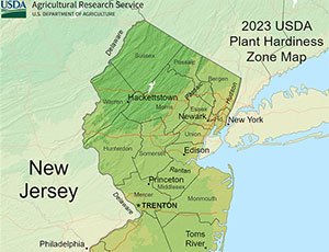 new-jersey-hardiness-zone-map-300px | Florida Palm Trees