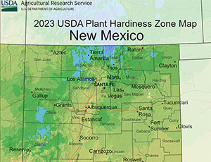 new-mexico-hardiness-zone-map-300px | Florida Palm Trees