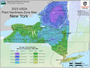 new-york-hardiness-zone-map-650px | Florida Palm Trees