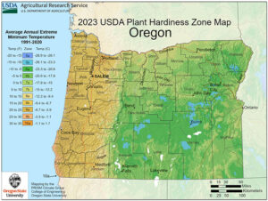 oregon-hardiness-zone-map-650px | Florida Palm Trees