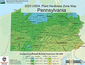 pennsylvania-hardiness-zone-map-300px | Florida Palm Trees