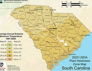 south-carolina-hardiness-zone-map-300px | Florida Palm Trees