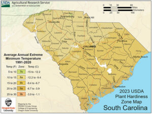 south-carolina-hardiness-zone-map-650px | Florida Palm Trees