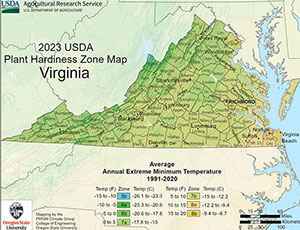 virginia-hardiness-zone-map-300px | Florida Palm Trees