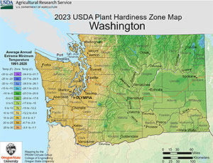washington-hardiness-zone-map-300px | Florida Palm Trees